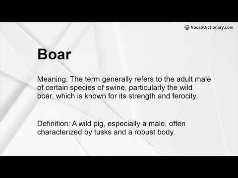 Boar Meaning