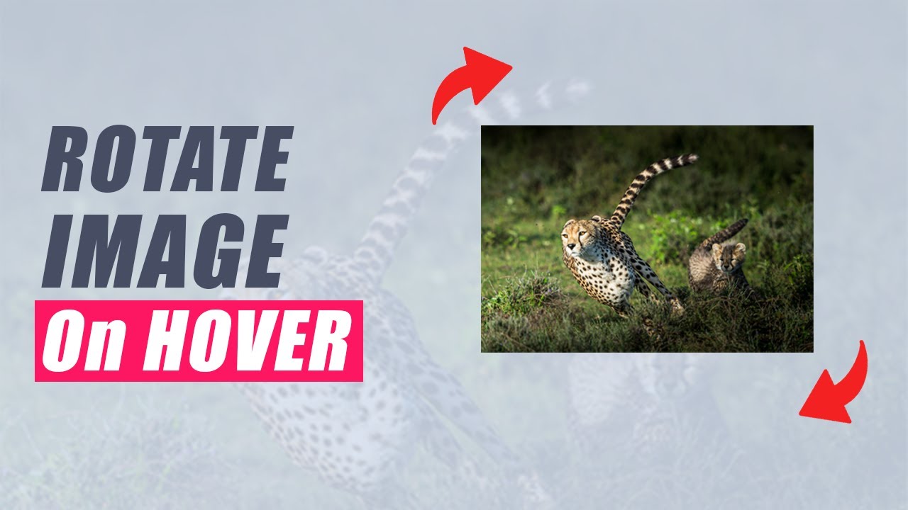 How to Rotate Image on Hover using CSS Tutorial