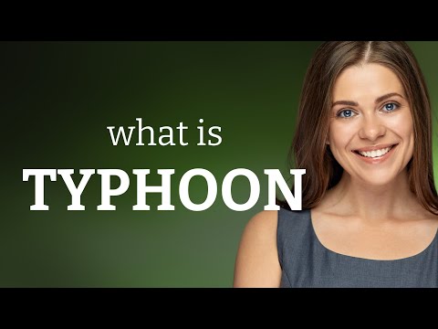 Typhoon — TYPHOON definition