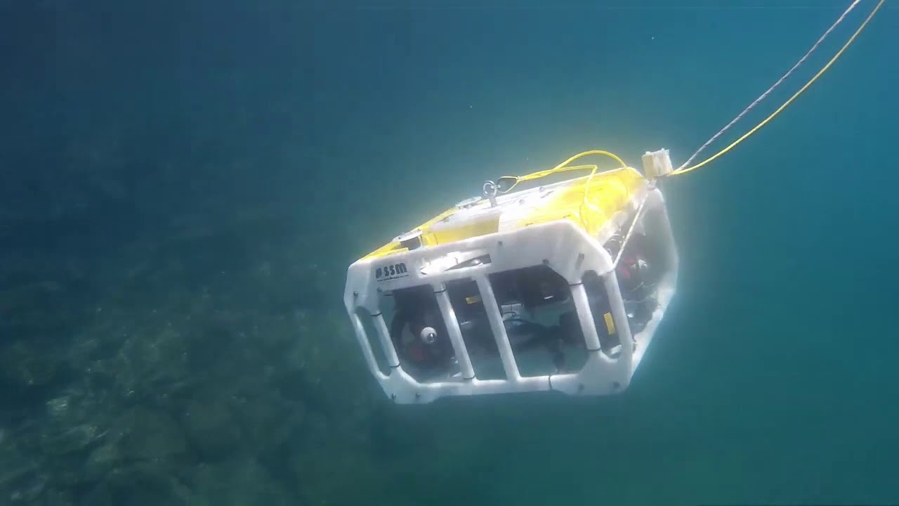 Subsea Mechatronics | F6S