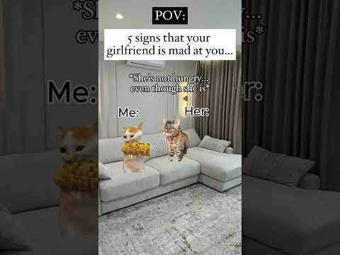 Pov: 5 signs your girlfriend is mad at you cat meme memes #catmemes #boyfriend #couples #funnycats