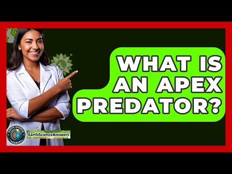 What Is An Apex Predator? - Earth Science Answers
