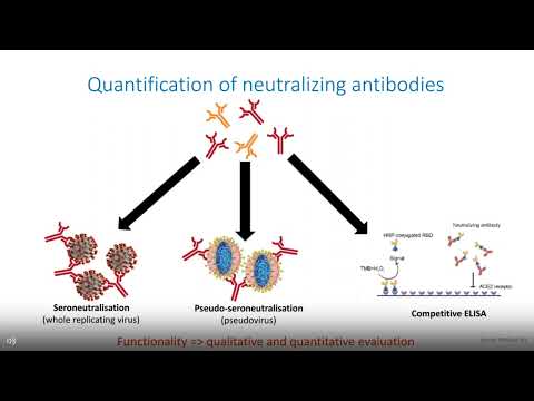 Two years into the COVID-19 pandemic... What can serology testing tell us about immune status?