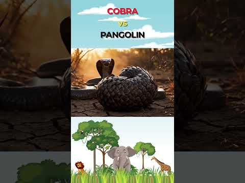 Cobra STRIKES But Fails?! Pangolin's Armor is UNSTOPPABLE!
