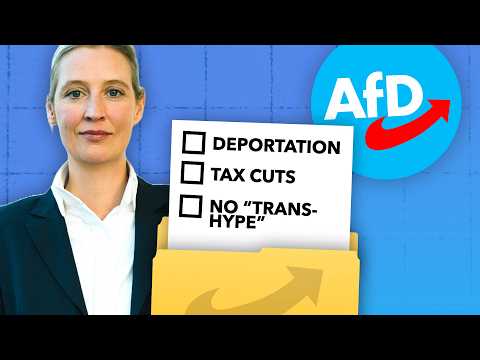Germany's AfD Manifesto Explained