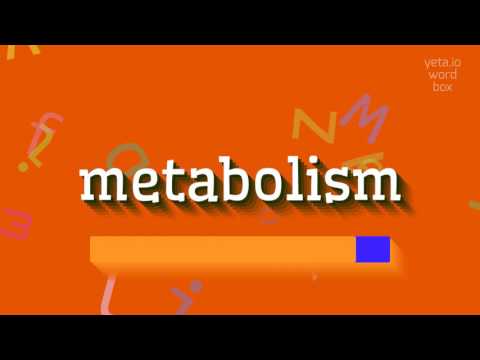 How to say "metabolism"! (High Quality Voices)