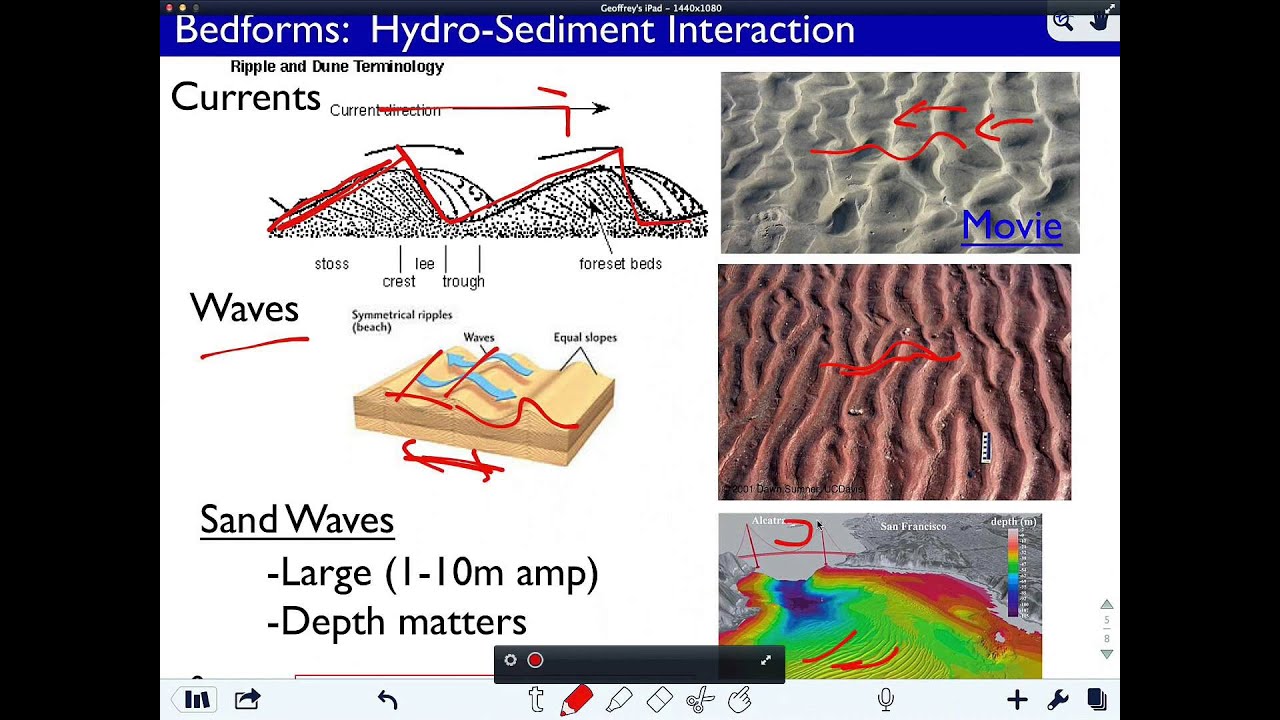Bottom Processes - Sediment Transport