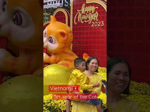 Year of the Cat #vietnam #southeastasia #tet