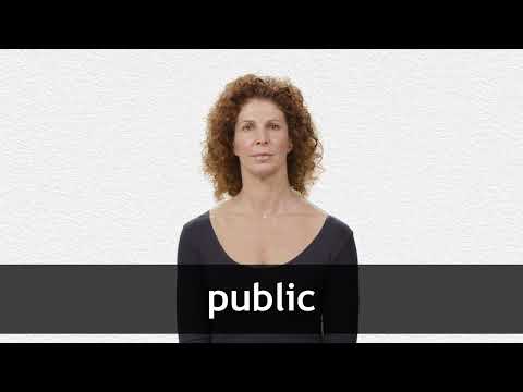 How to pronounce PUBLIC in American English