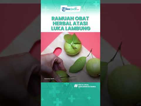 Inilah Ramuan Obat Herbal yang Mampu Atasi Luka Lambung: Air Daun Poncosudo hingga Daun Jambu Biji