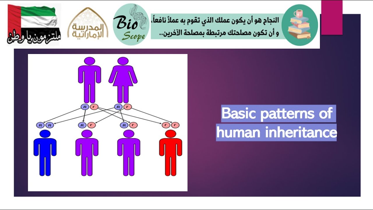 Basic Patterns of Human Inheritance - Part 1