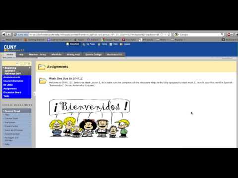 Spanish 101: Beginning Spanish I