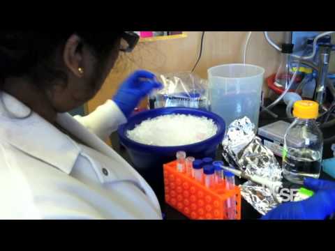Lab Tests Show Arthritis Drug Effective Against Global Parasite