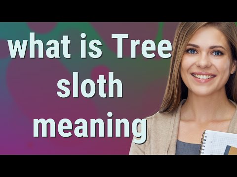 Tree sloth | meaning of Tree sloth