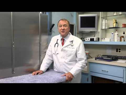 SmartTag: Dr. B Voynick Veterinarian