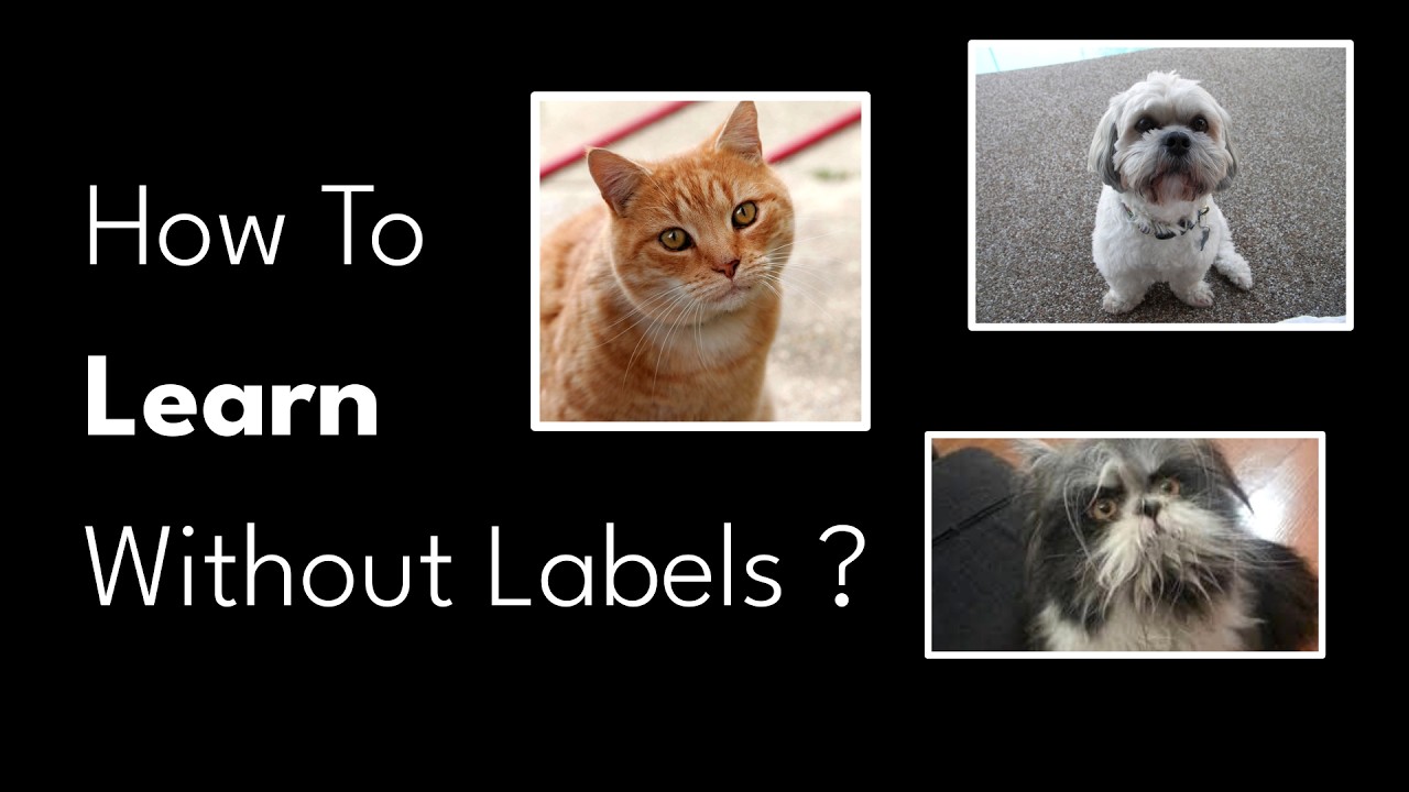 Contrastive Learning with SimCLR | Deep Learning Animated