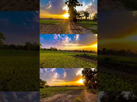 เคนเคฐ เคชเคฒ เคฆเฅเคตเคพ เคฎเฅเค ๐ฅฐ๐ฅฐ #shorts #shortsfeed #viralvideo #today