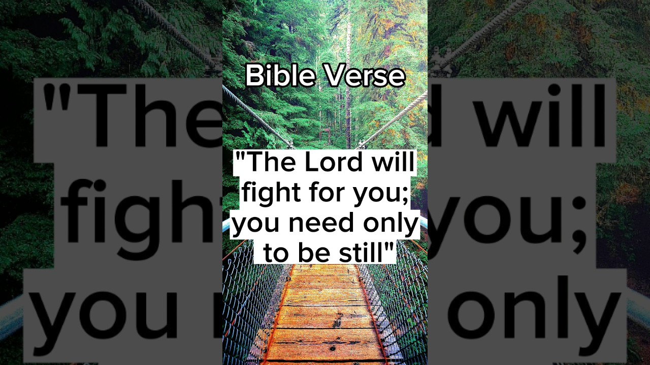 Best Bible Verse For Strength #Bible #Verse #Strength #Inspirational #shorts