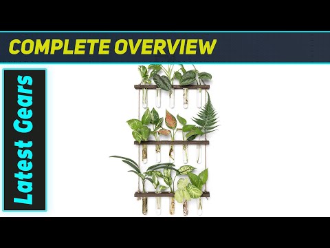Mkono Plant Propagation Tubes – The Best Space-Saving Propagator for Every Gardener