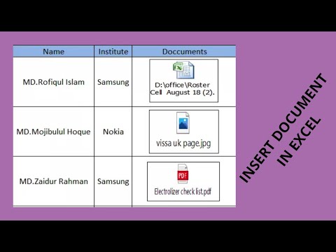 How to insert document in excel