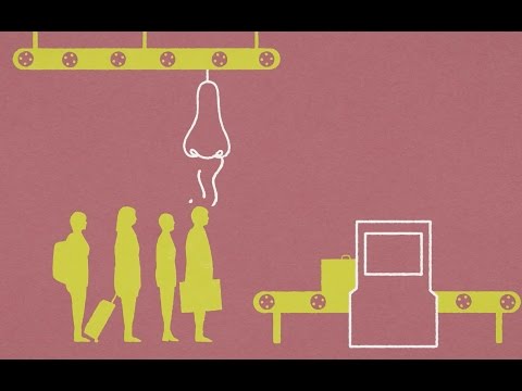 Psychological smell research