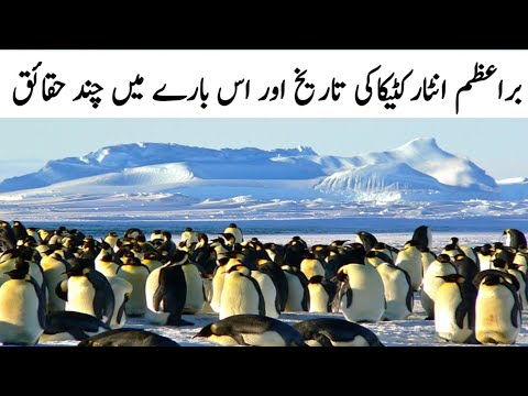 Information About Antarctica In Urdu || Antarctica Ke Bare Main Chand Haqaiq In Hindi