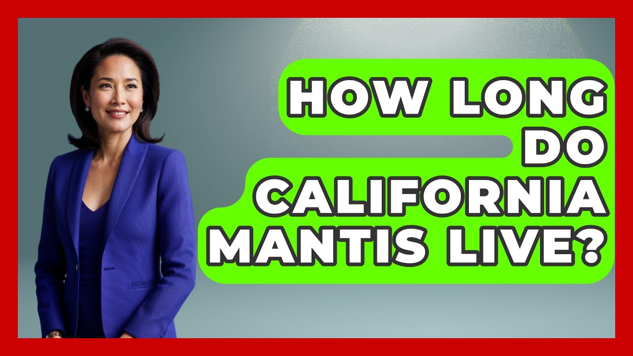 How Long Do California Mantis Live? - Reptilian Wonders