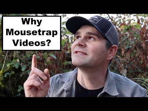 Q&A - Why I Create Videos About Mousetraps. History Of Mousetrap Monday.