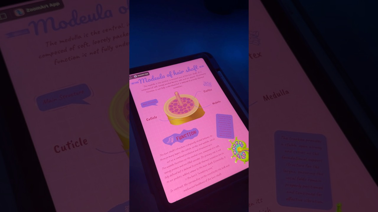 structured notes created in ZoomArt App 📘#studytok #anatomy #studywithme #notes #studytips