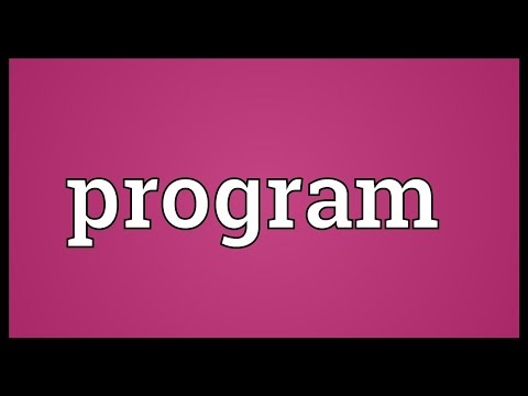 Program Meaning