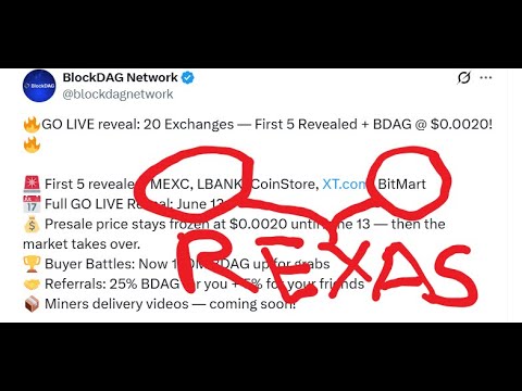 Blockdag using same exchanges that Rexas finance (Rugpulled) uses