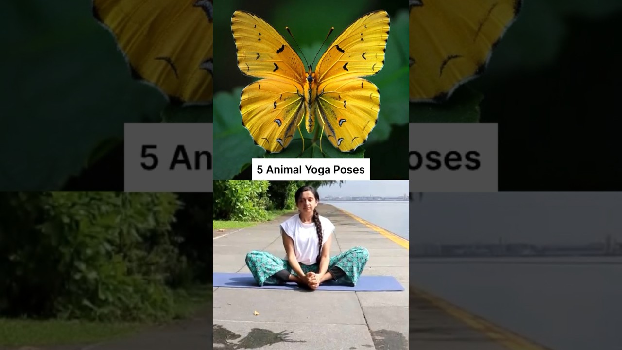 5 Animal yoga poses #kids #kidsyoga #animals #yoga
