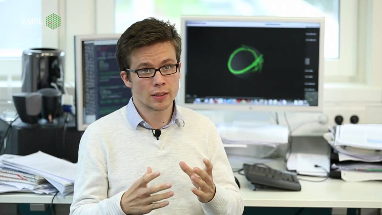 What does a physicist do in a biology lab?