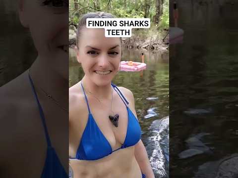 Digging for Sharks Teeth in Florida #fyp #sharkteeth #fossils