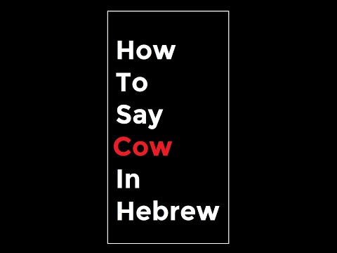 How to say Cow in Hebrew