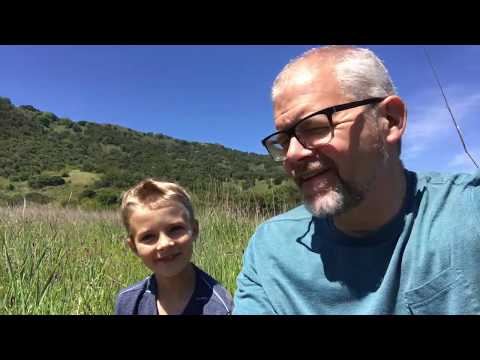 Success in Ecology: Life History Strategy