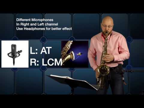 SD Systems LDM 94 iMuso