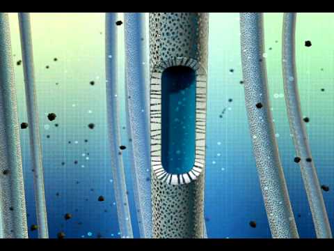 Medical Animation Studio | Medical Animation | TMBA, Inc | New York NY