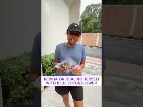 The Power Of Blue Lotus For Healing & Tea