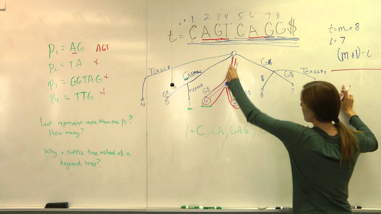 Using the Suffix Tree - Conceptually
