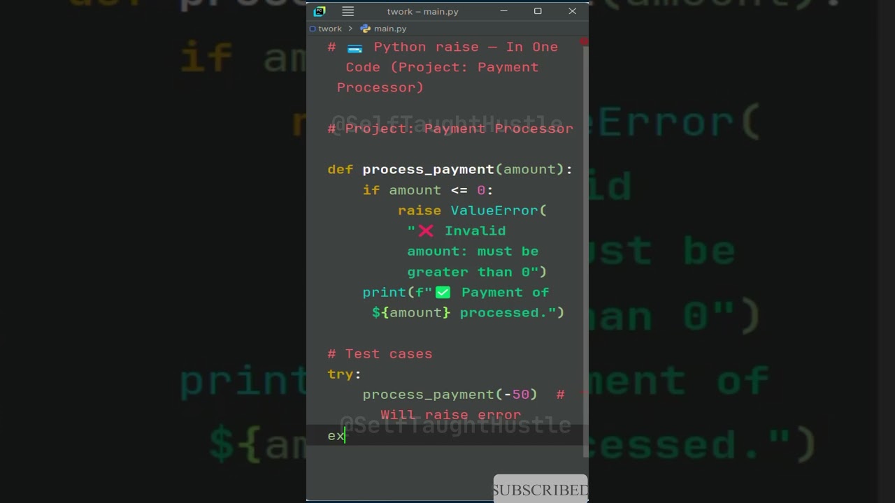 Python raise  In One Code Project Payment Processor #coding #code #programming