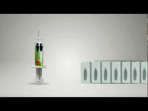 Gel Blattanex de Bayer, el más eficaz contra las cucarachas [vídeo ...