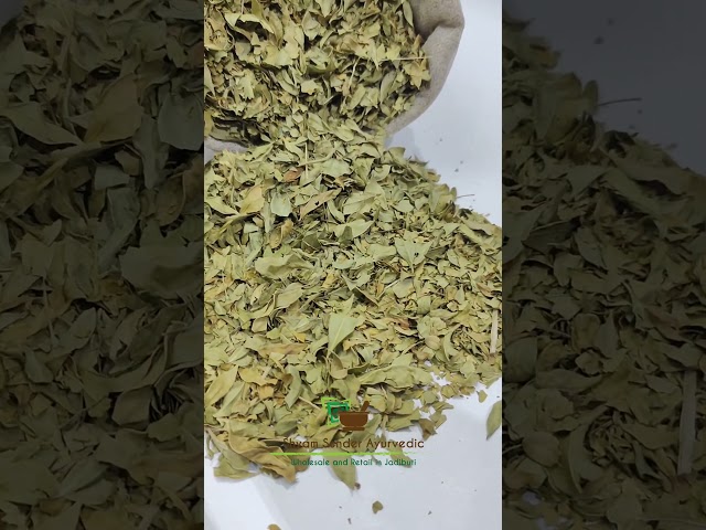 Herbal Leaves - Mehandi Patta Henna Patta Wholesale Trader from Hyderabad