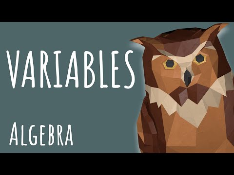 Variables & Constants - why use letters? ALGEBRA