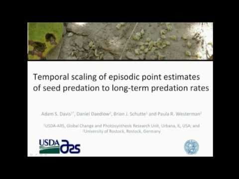 Estimating seed predation rates – Methods Blog