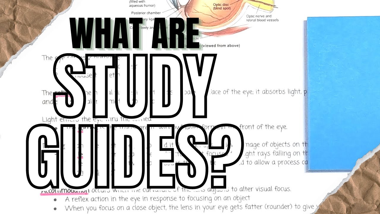 What are Study Guides? - Absolutely Studying