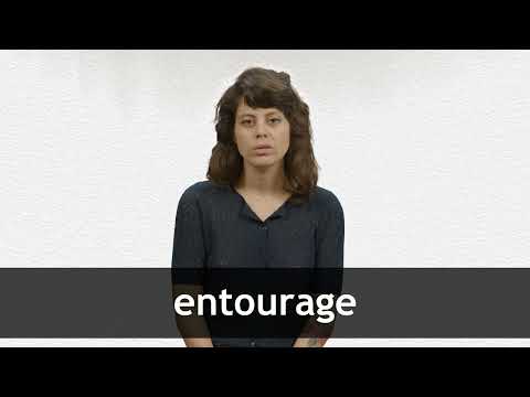 English Translation of “ENTOURAGE” | Collins French-English Dictionary
