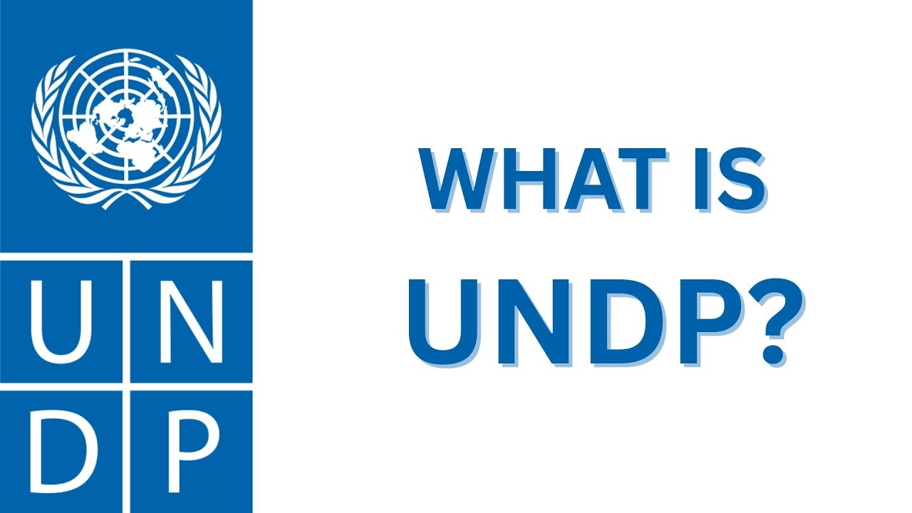 WHAT IS UNDP?