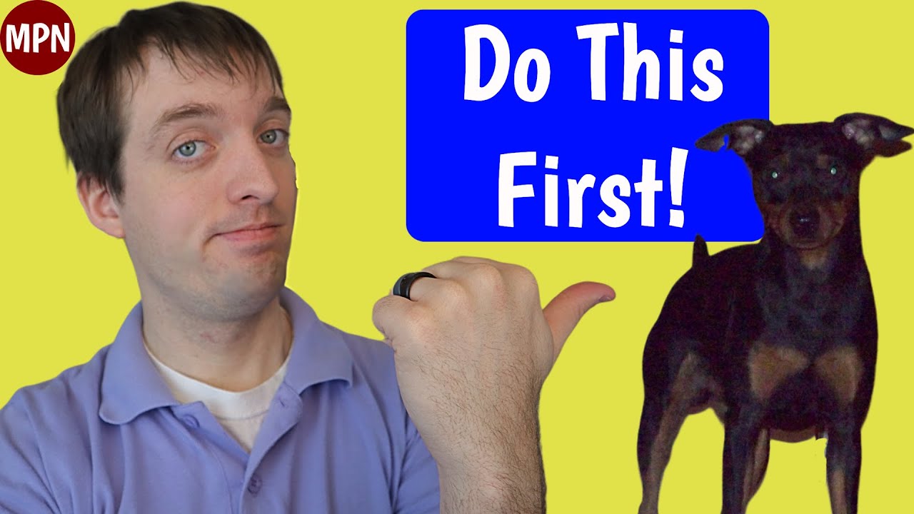 The 3 Min Pin Puppy Training Tips You Must Do First!