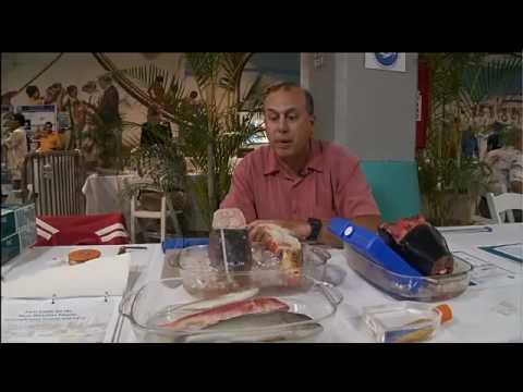 Fish Forever -- The Life History of Fish (Fishermen Version)